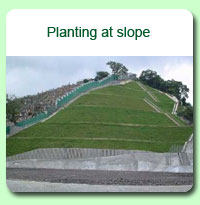 Environmental,Health and Safety Report 2004 / 05