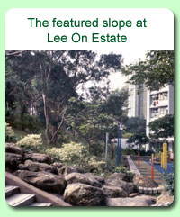 Environmental,Health and Safety Report 2004 / 05